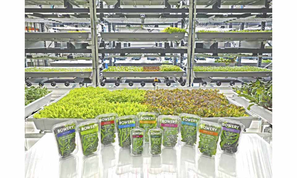 Bowery Opens Second Indoor Farm In New Jersey